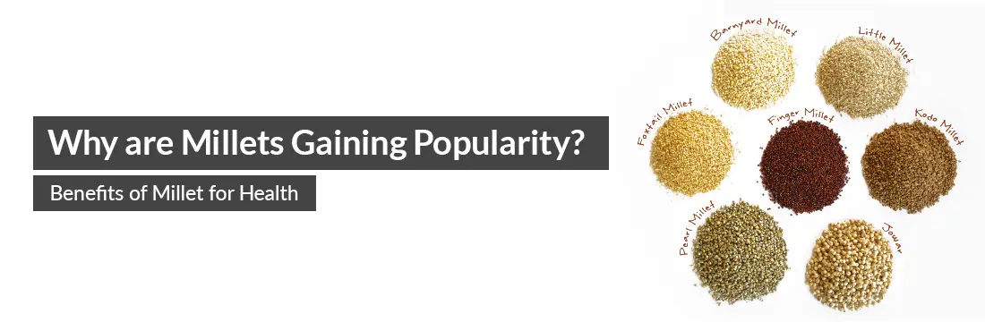 Why are Millets Gaining Popularity | Benefits of Millet for Health