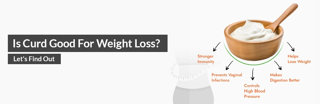 Is Curd Good For Weight Loss? Let's Find Out