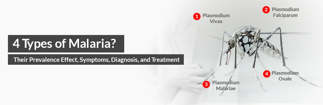 What Are the 4 Types of Malaria? | Ganesh Diagnostic