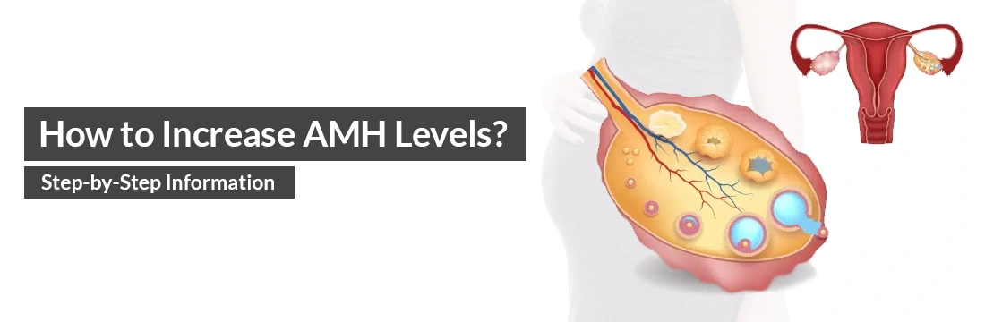 How to Increase AMH Levels? Step-by-Step Information | Ganesh Diagnostic