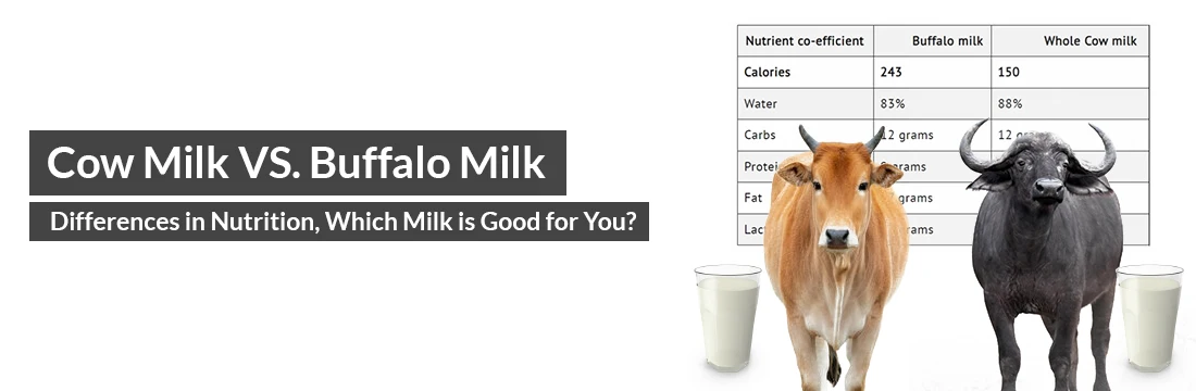 Cow Milk vs. Buffalo Milk: Differences in Nutrition, Which Milk is Good ...