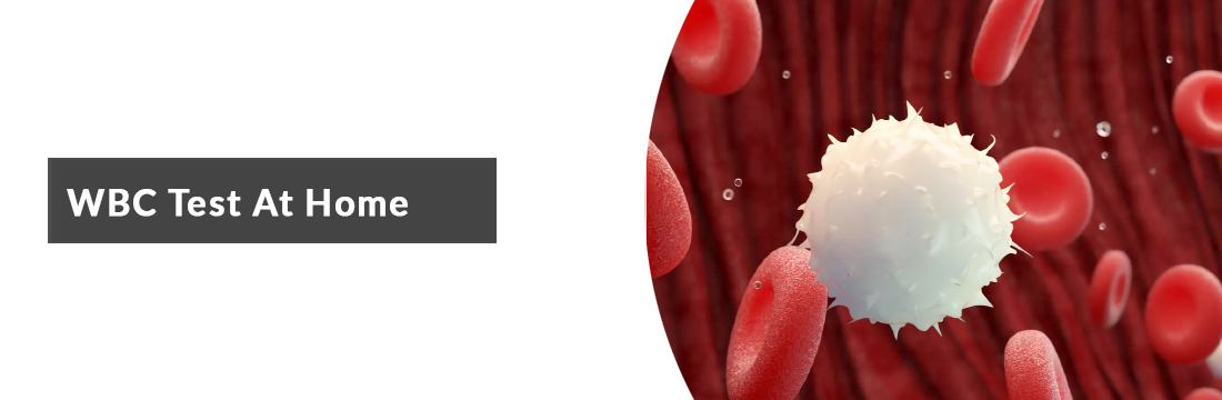 Know About WBC Test | Ganesh Diagnostic