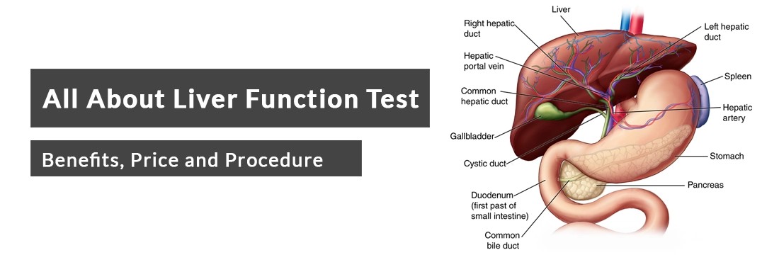 All About Liver Function Test: Benefits, Price, Procedure | Ganesh ...