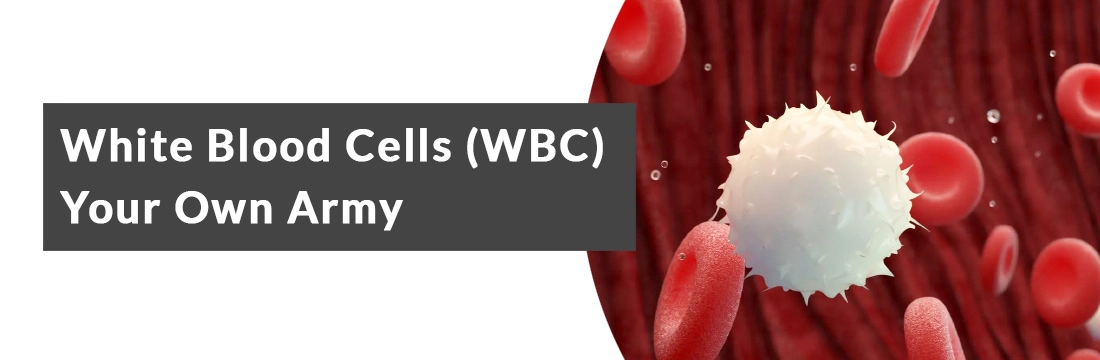 White Blood Cells (WBC) - Your Own Army | Ganesh Diagnostic