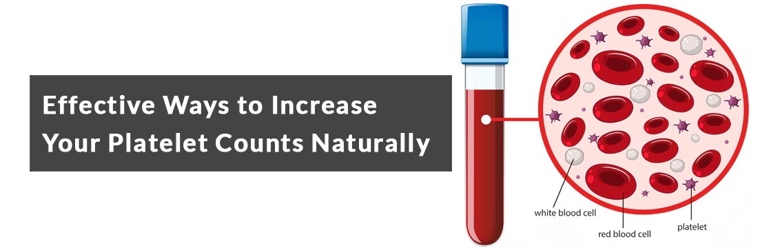 Effective Ways to Increase Your Platelet Counts Naturally | Ganesh ...