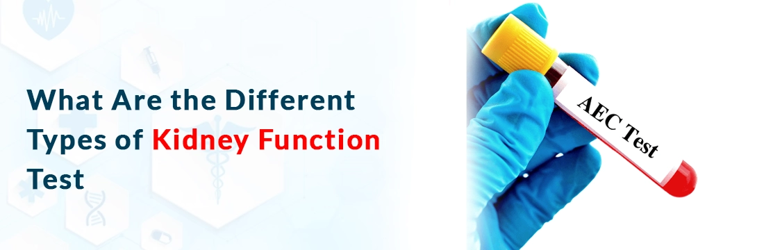 AEC Blood Test: Price , Purpose and Range | Ganesh Diagnostic