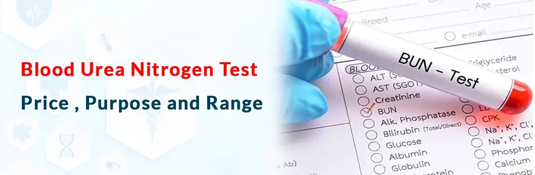 Blood Urea Nitrogen Test: Price , Purpose and Range | Ganesh Diagnostic