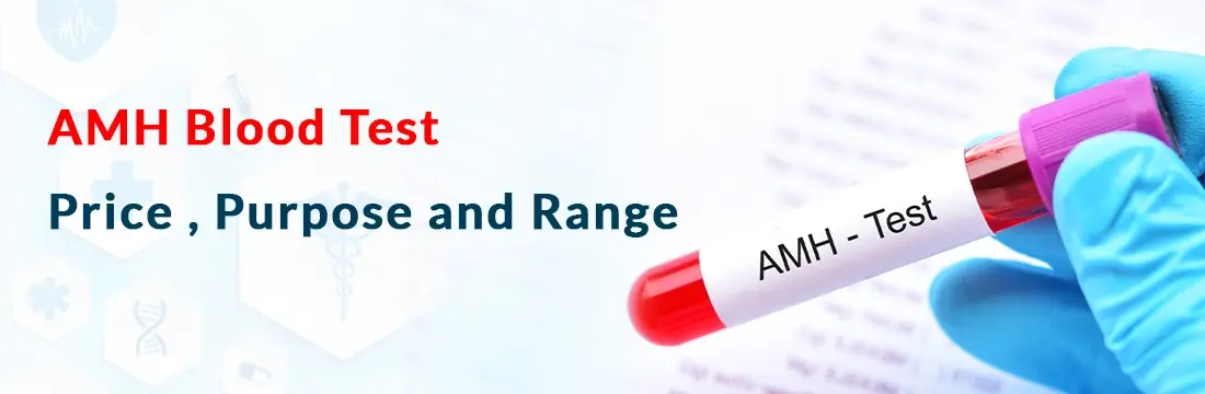 AMH Blood Test Price, Purpose and Range | Ganesh Diagnostic