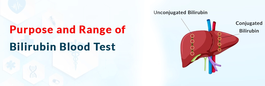 Purpose and Range of Bilirubin Blood Test With Price | Ganesh Diagnostic
