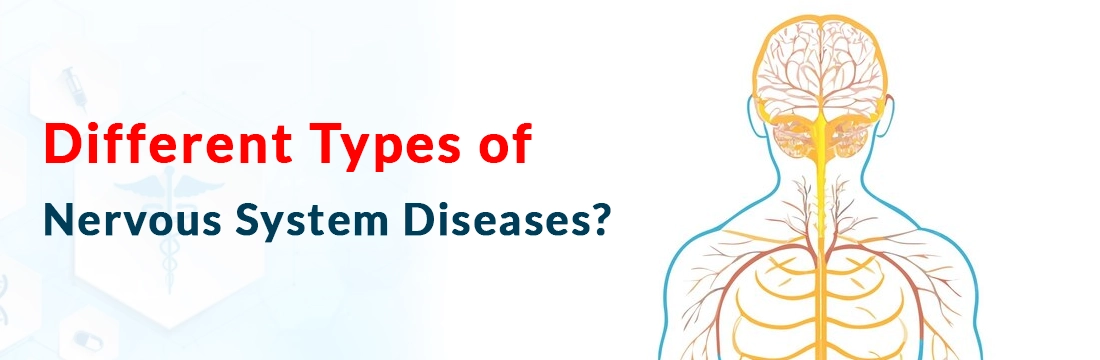 Different Types of Nervous System Diseases | Ganesh Diagnostic