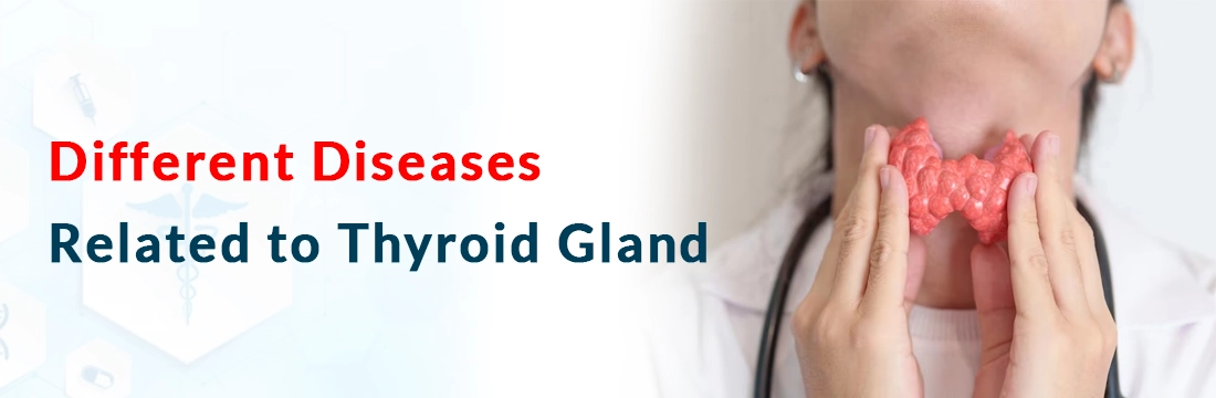 Different Diseases Related to Thyroid Gland | Ganesh Diagnostic