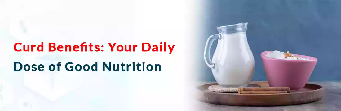 Curd Benefits: Your Daily Dose of Good Nutrition | Ganesh Diagnostic