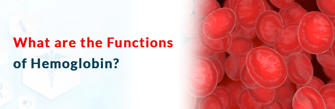 What are the Functions of Hemoglobin? | Ganesh Diagnostic