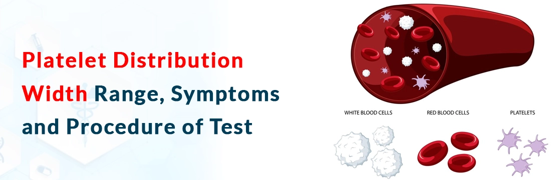 Platelet Distribution Width: Range, Symptoms and Procedure of Test