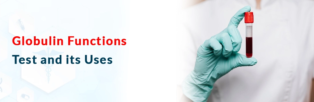 Globulin Functions, Test and its Uses | Ganesh Diagnostic
