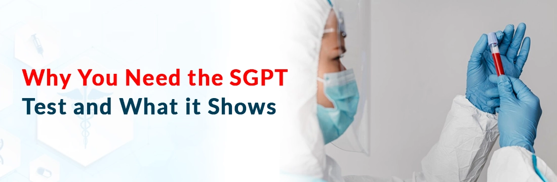 Why You Need the SGPT Test and What it Shows | Ganesh Diagnostic
