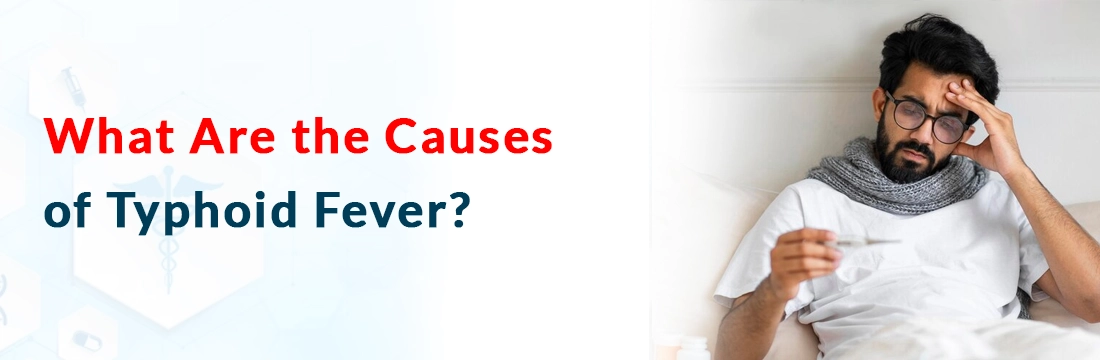 What Are the Causes of Typhoid Fever | Ganesh Diagnostic