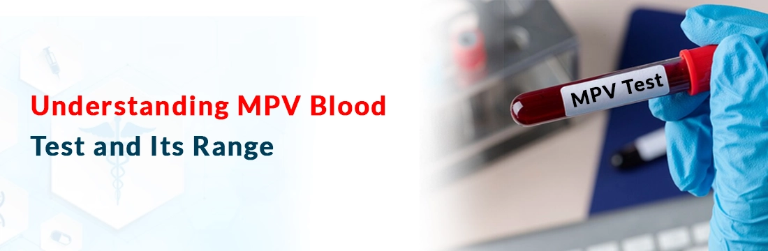 Understanding MPV Blood Test and Its Range
