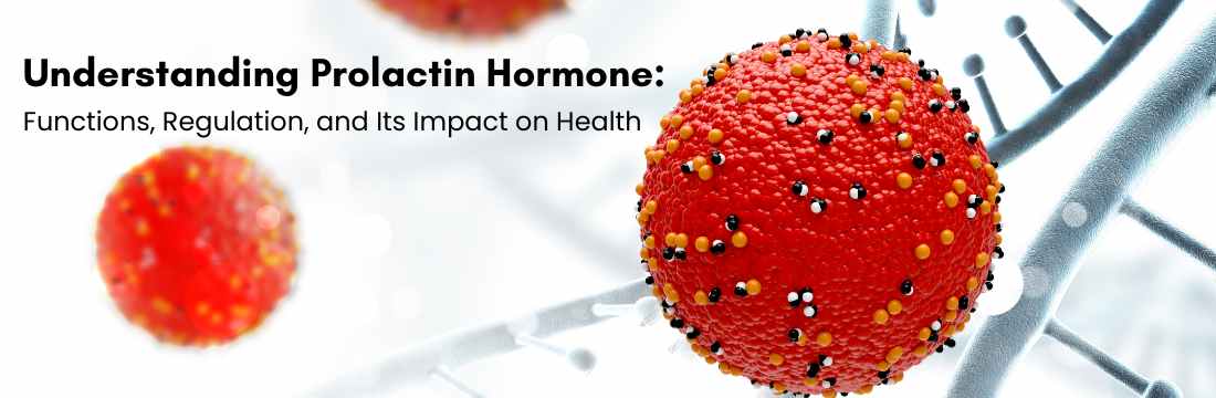 Understanding Prolactin Hormone: Functions, Regulation, and Its Impact ...