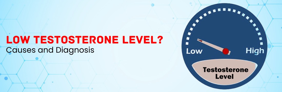 Low Testosterone Level? Understand its Symptoms, Causes and Diagnosis ...