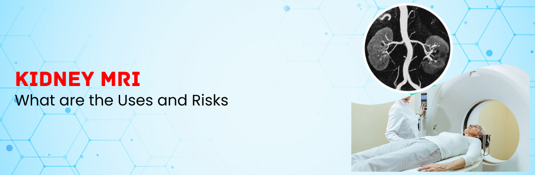 What Are the Uses and Risks of Kidney MRI | Ganesh Diagnostic