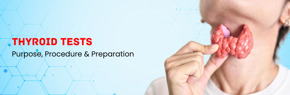 Thyroid Tests Cost: Purpose, Procedure & Preparation