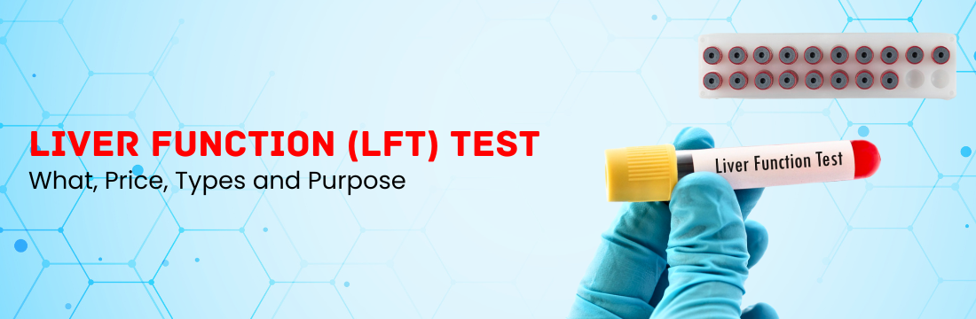 What is Liver Function (LFT) Test Price: Types and Purpose