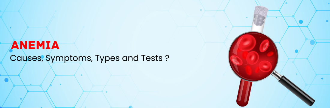 Anemia Guide: Symptoms, Causes & How to Test for It