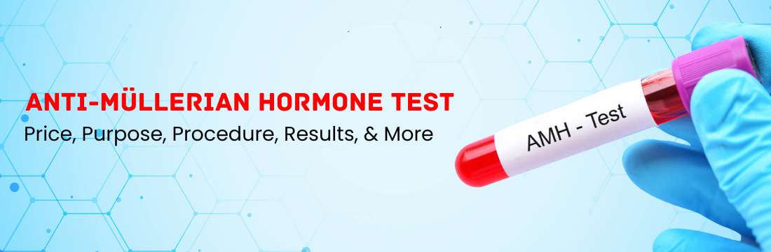 Guide to AMH Test - Price, Purpose, Procedure, and Results
