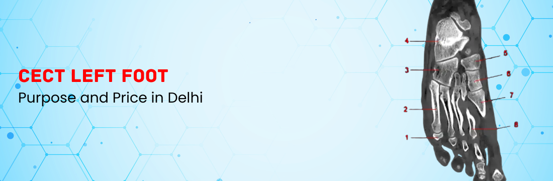 Explain the CT Mandible: Causes, Test, and Its Purpose