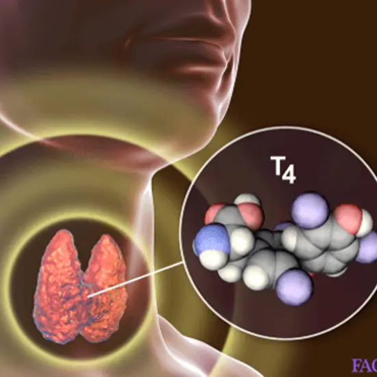 Total Thyroxine (T4) | Test Price In Delhi | Cost Near Me, India ...