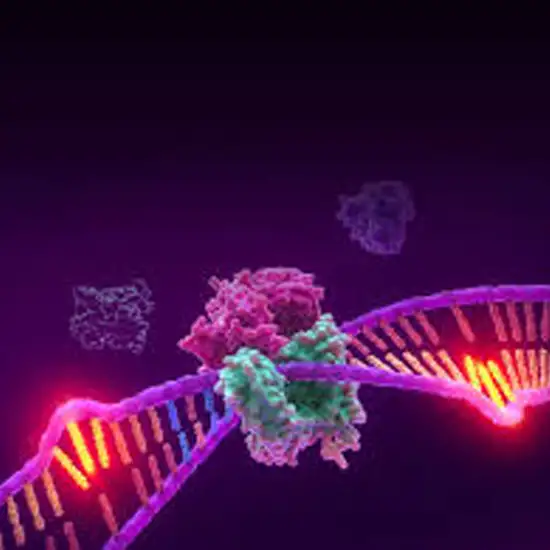 Microsatellite Instability (MSI) Test Near You in Delhi | Book Test at ...