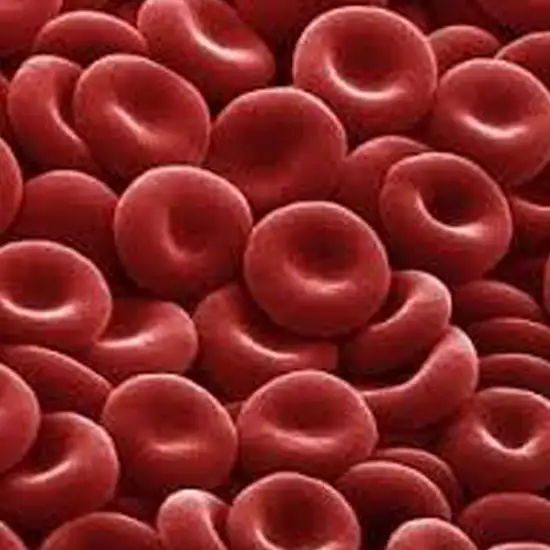 Mean Corpuscular Hemoglobin Concentration (MCHC) | Test Price In Delhi ...