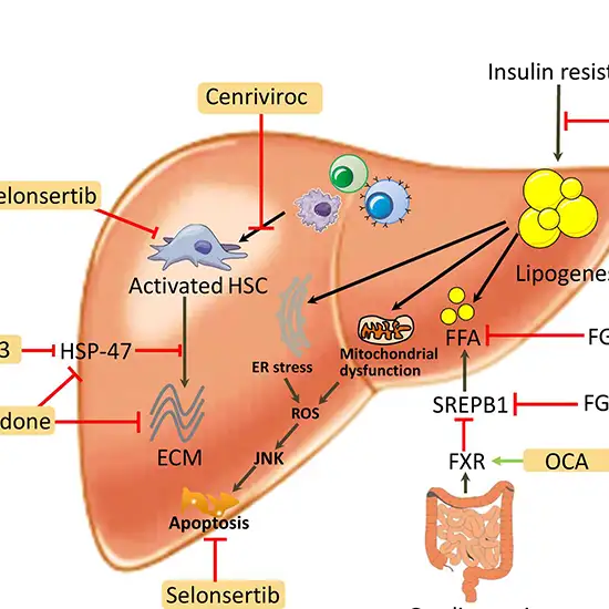Fibrosis (FIB)-4 index | Test Price In Delhi | Cost Near Me, India ...