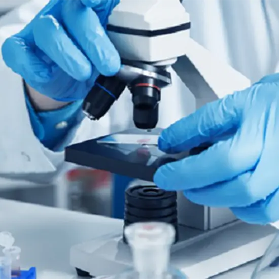 Book Blastomycosis Antibody | Test Price In Delhi | Ganesh Diagnostic