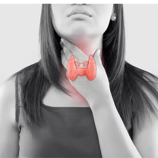 Thyroid Peroxidase Antibody | Test Price In Delhi | Cost Near Me, India ...