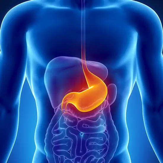 Helicobacter Pylori Antigen Rapid Stool | Test Price In Delhi, India ...