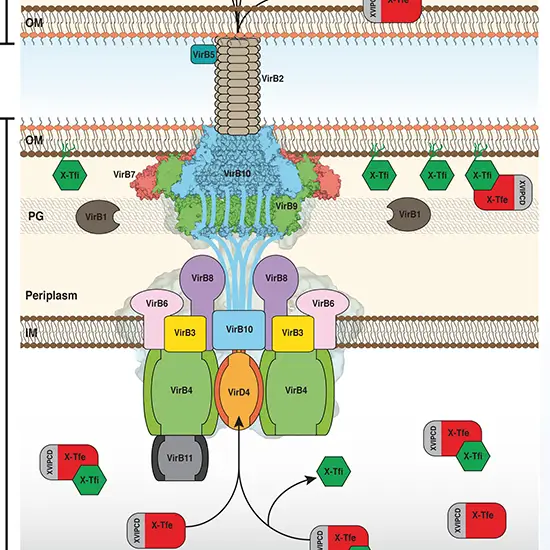 ET Secretion Culture and Sensitivity (C/S) Test Near You in Delhi ...