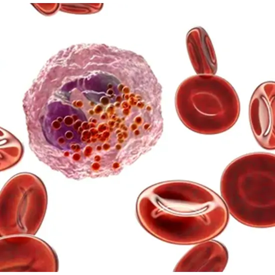 TEC/AEC | Test Price In Delhi | Cost Near Me, India | Ganesh Diagnostic