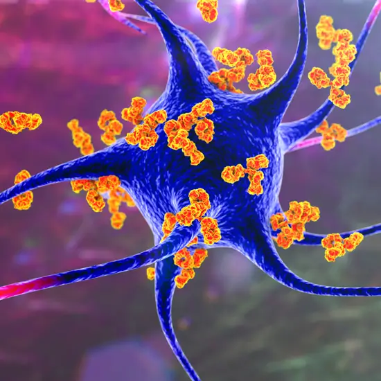 Neuronal Paraneoplastic Autoantibodies | Test Price In Delhi, India ...