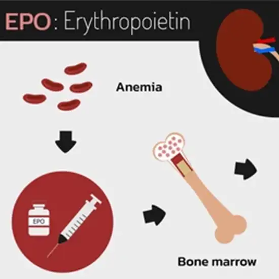 Serum Erythropoietin (EPO) | Test Price In Delhi | Cost Near Me, India ...