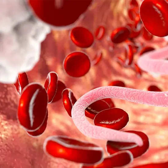 Filaria Antibody Blood | Test Price In Delhi | Cost Near Me, India ...