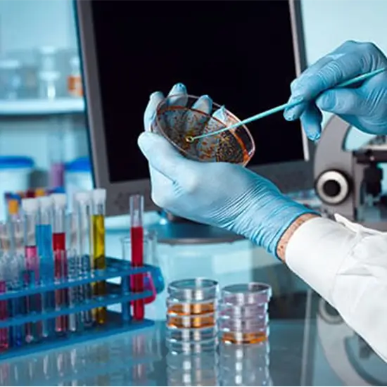 Toxicology Screen, Blood, Drug Screen | Test Price In Delhi, India ...