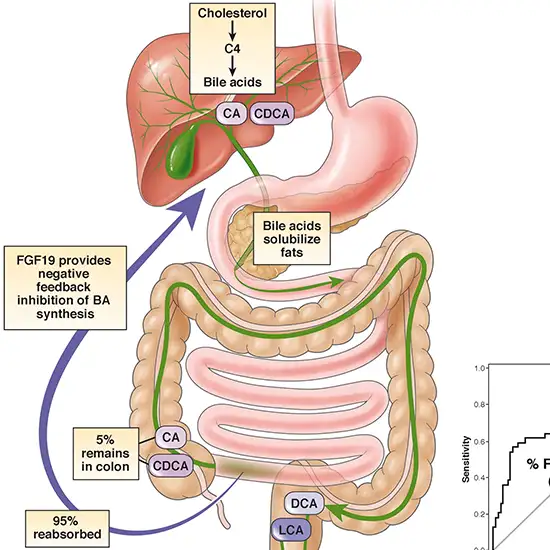Bile Acid Test Near You in Delhi | Book Test at Low Price