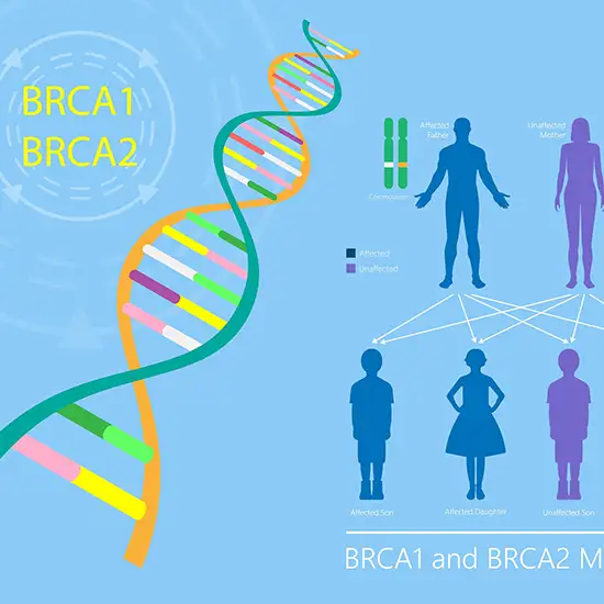 Breast Cancer (BRCA) Genetic | Test Price In Delhi | Cost Near Me ...