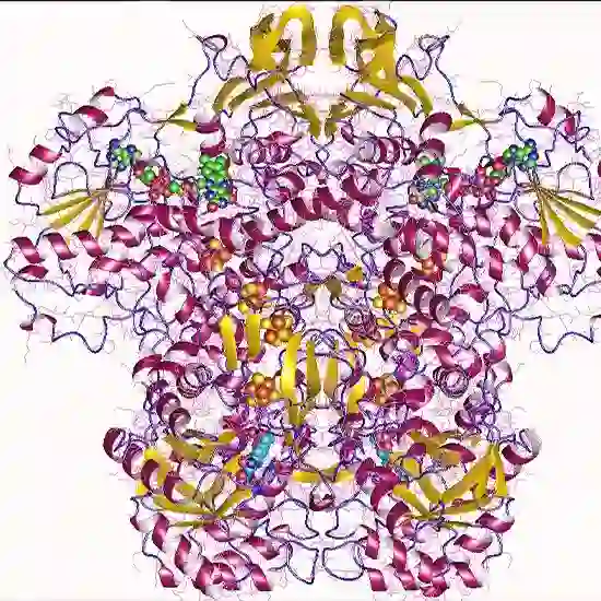 Dihydropyridine Dehydrogenase DPD 5-Fluorouracil Test in Delhi, India ...