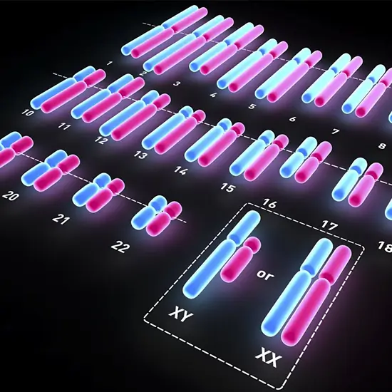 Book Karyotyping | Test Price In Delhi | Cost Near Me, India | Ganesh ...