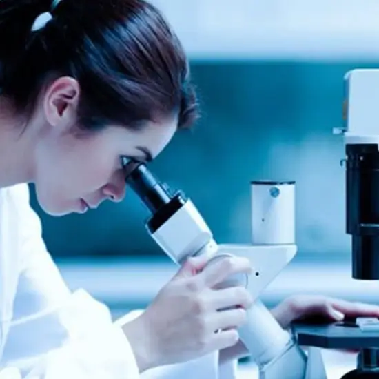 Immunofixation Electrophoresis (IFE), 24 Hour Urine Test Near You in ...