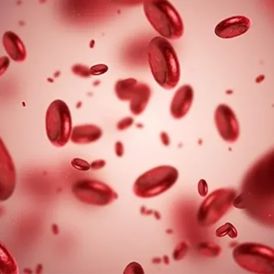 Book Red Cell Distribution Width (RDW | Test Price In Delhi, India ...