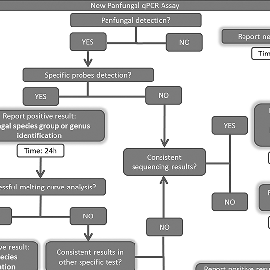 Pan Fungal Detection PCR Test Near You in Delhi | Book Test at Low Price